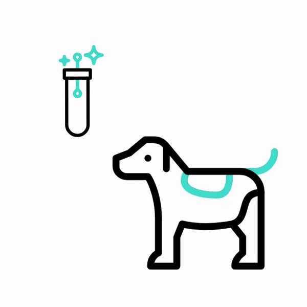 Complete Breed + Health Test – ProsperK9